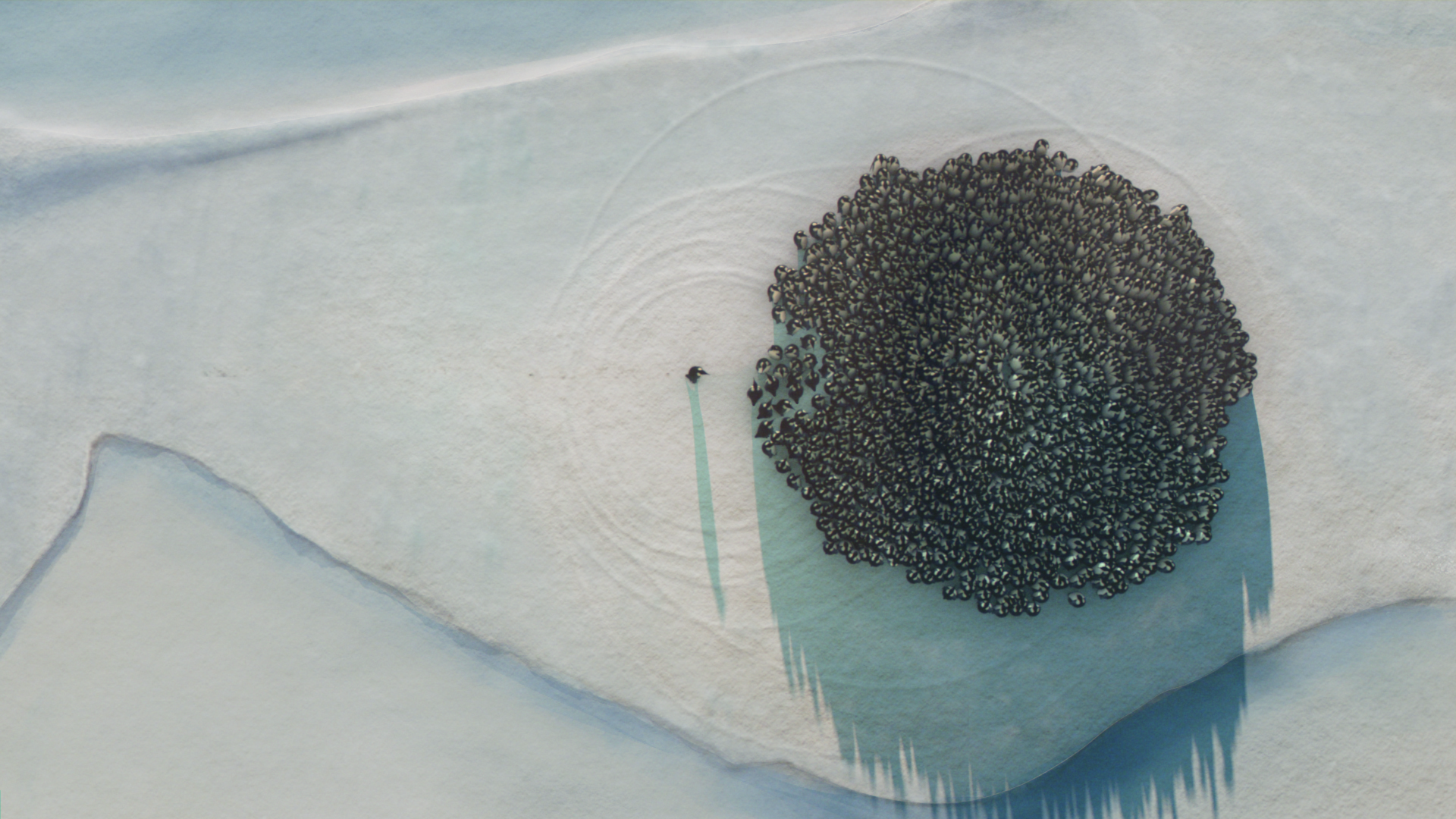 Members First - Bupa launches new Health Insurance Campaign