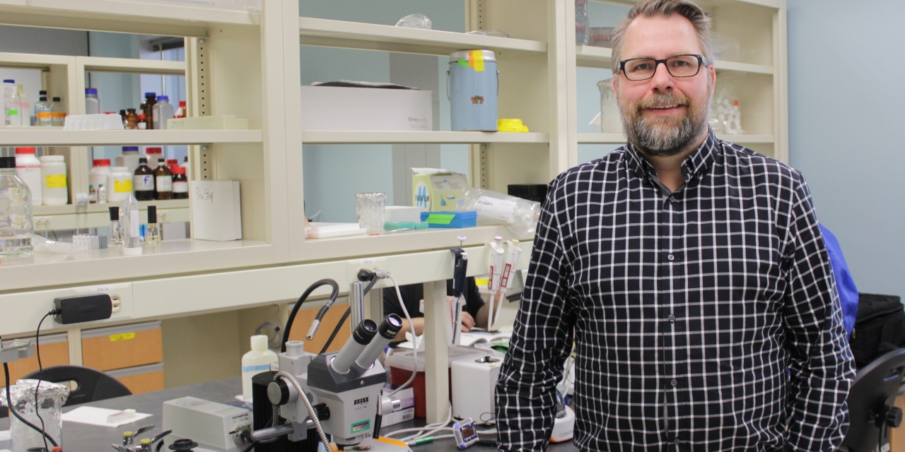 Unexpected immune response in brain, spinal cord could offer clues to ...