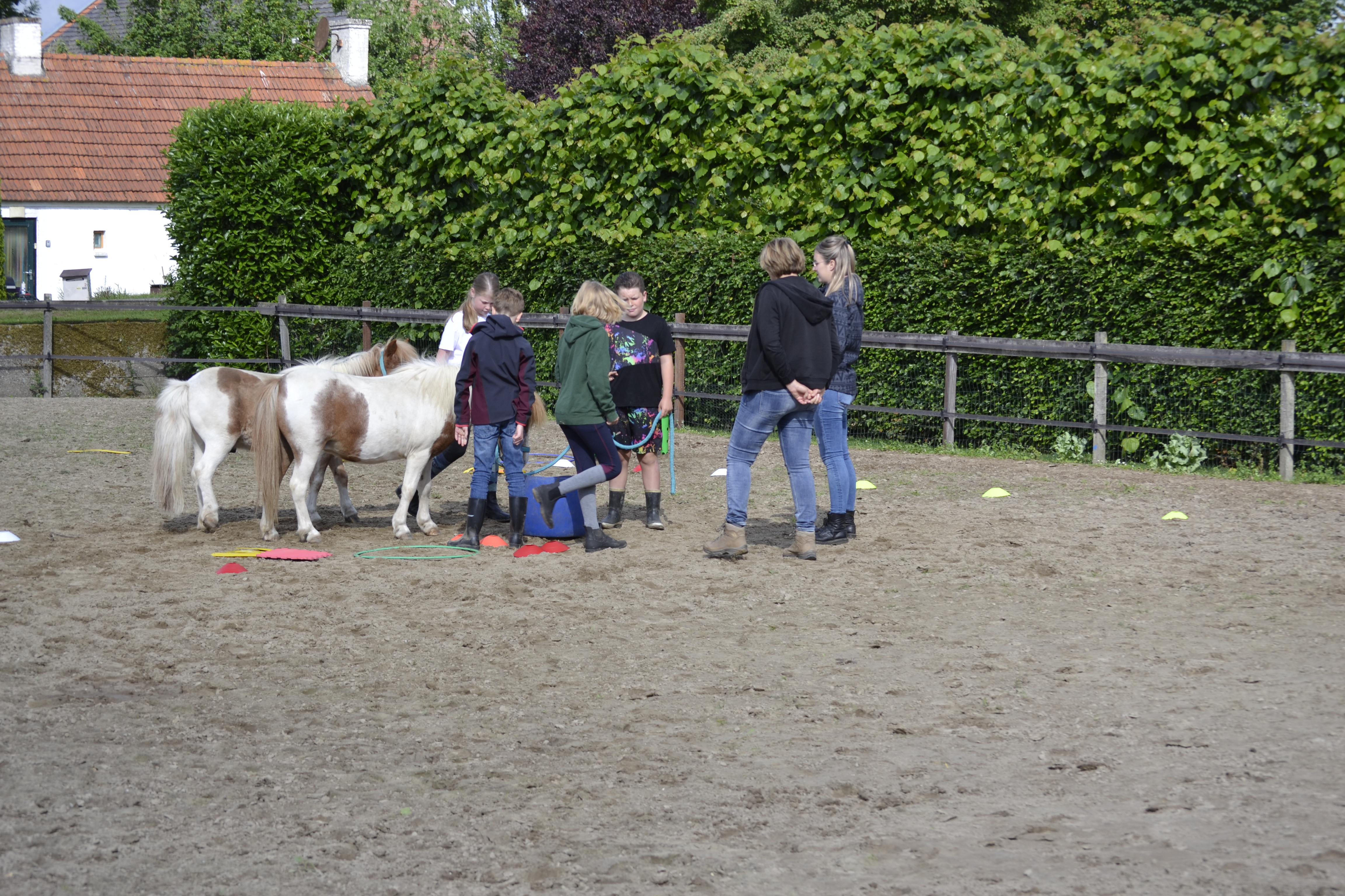 De jonge ondernemer: InStappen