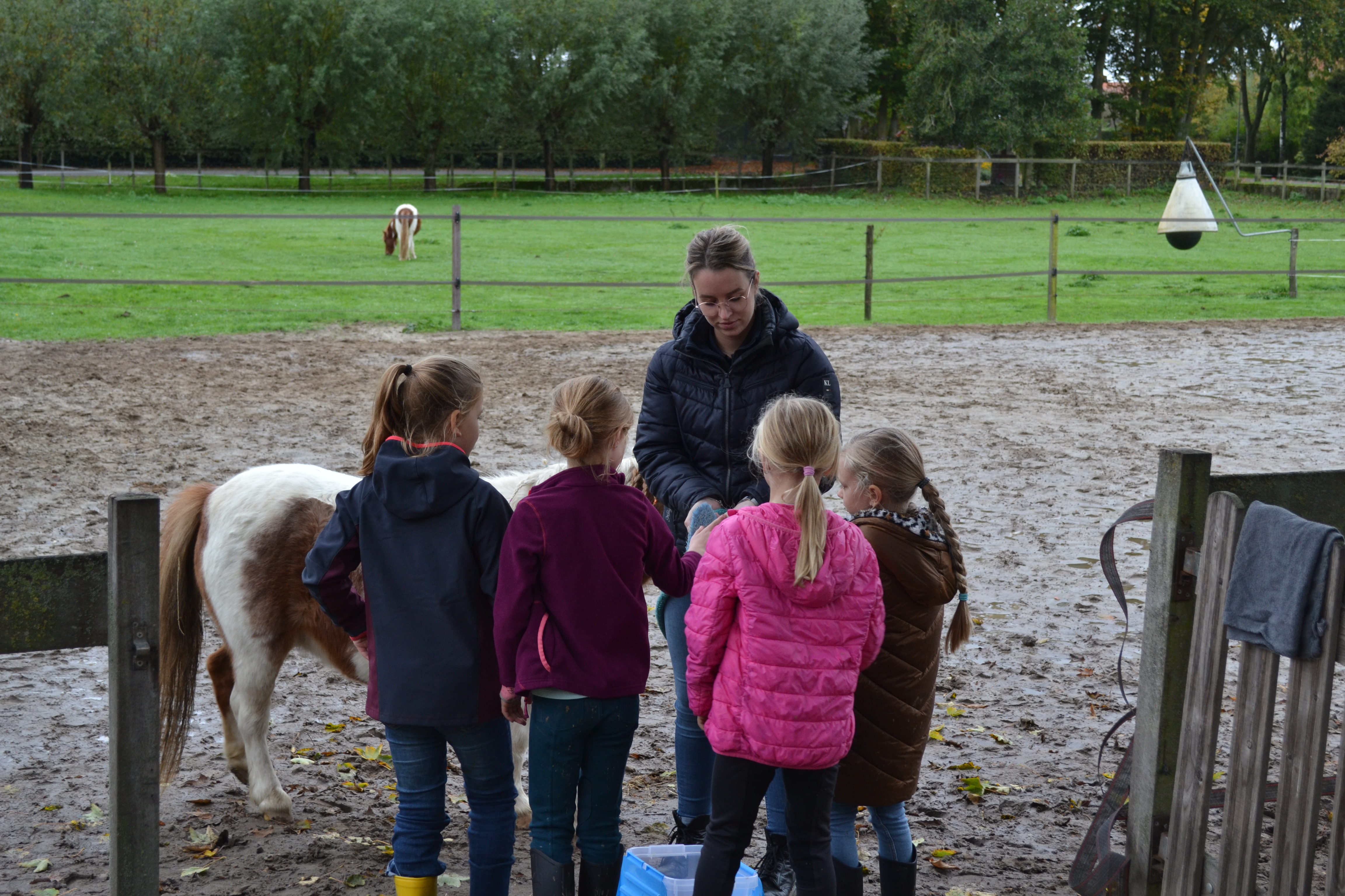 De jonge ondernemer: InStappen