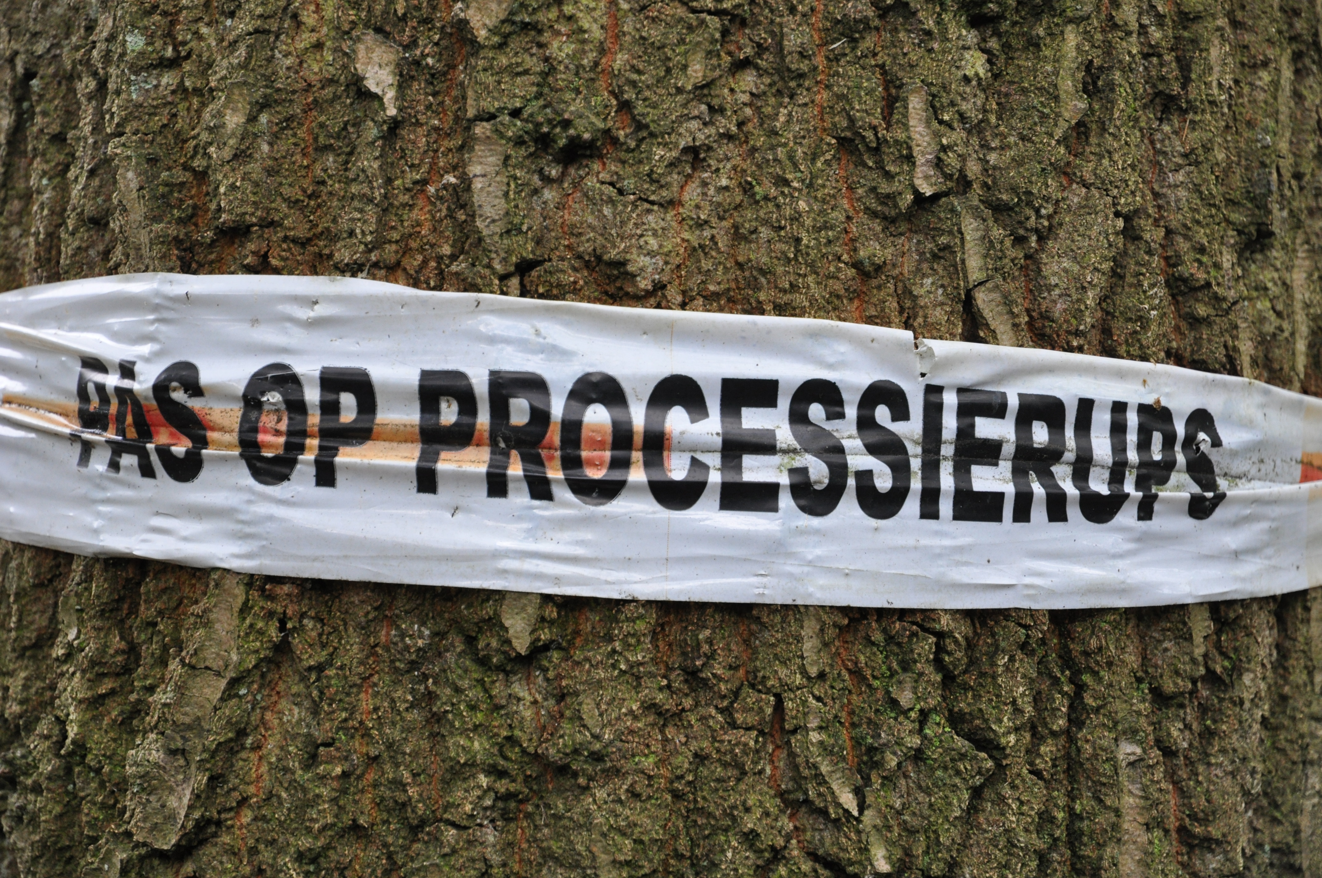 Processierups op campussen bestreden
