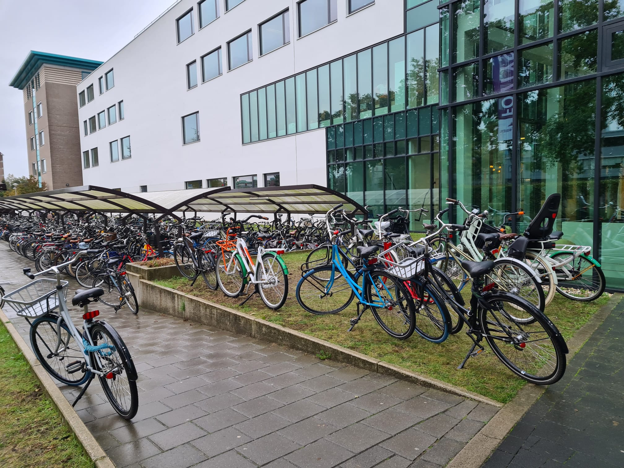 Stalling Rachelsmolen overvol: extra plekken in aantocht