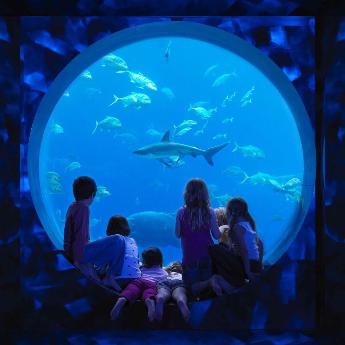 Embrace A World Of Choice With Atlantis, The Palm’s Mega Summer Camps ...