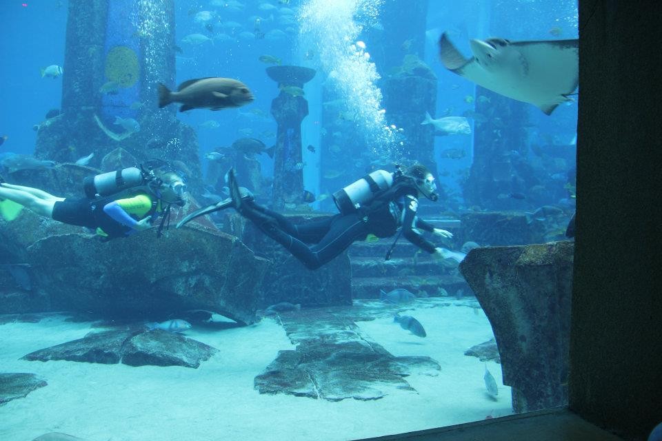 Atlantis, The Palm To Host Spectacular Shark Week Celebrations With ...