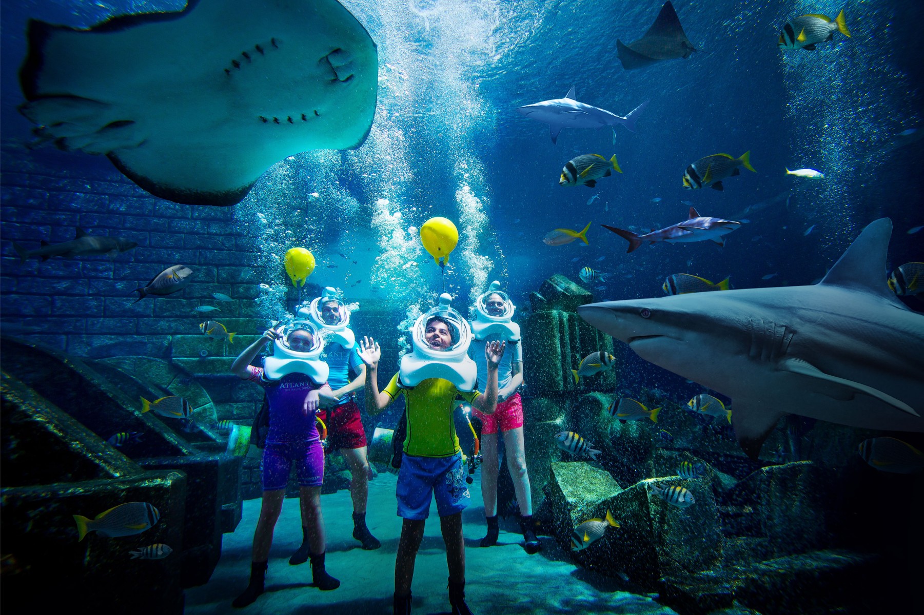 Sink Your Teeth Into Atlantis Dubai’s Shark-Themed Programmes And ...
