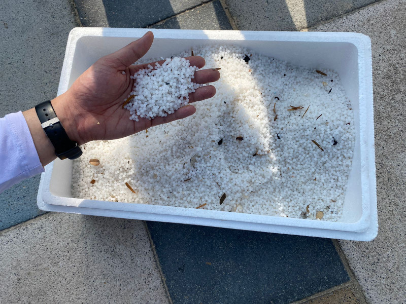 Atlantis Dubai Announces $126,000 Of Funding To Support Eight ...