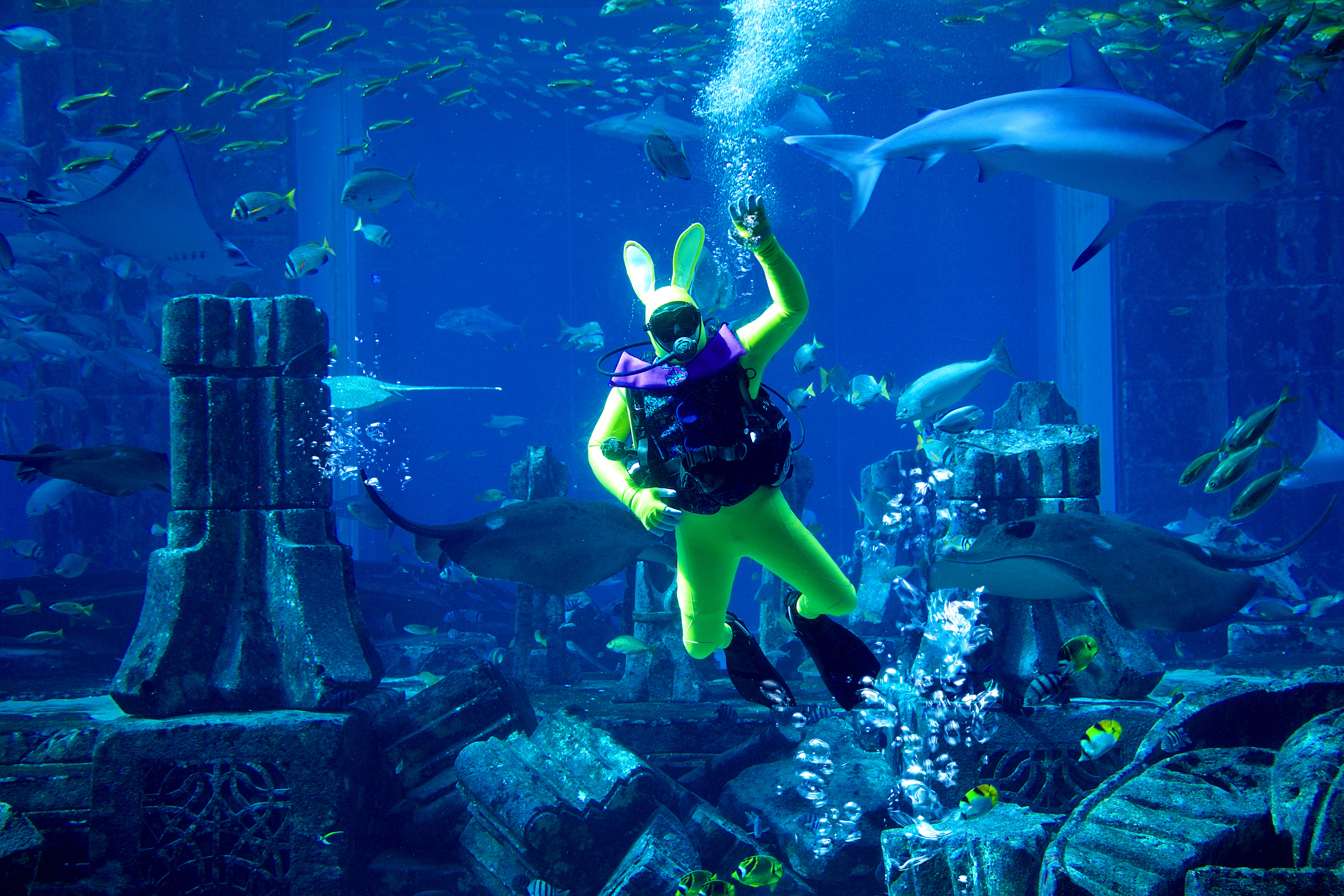Hop Down To Atlantis, The Palm For A Cracking Easter