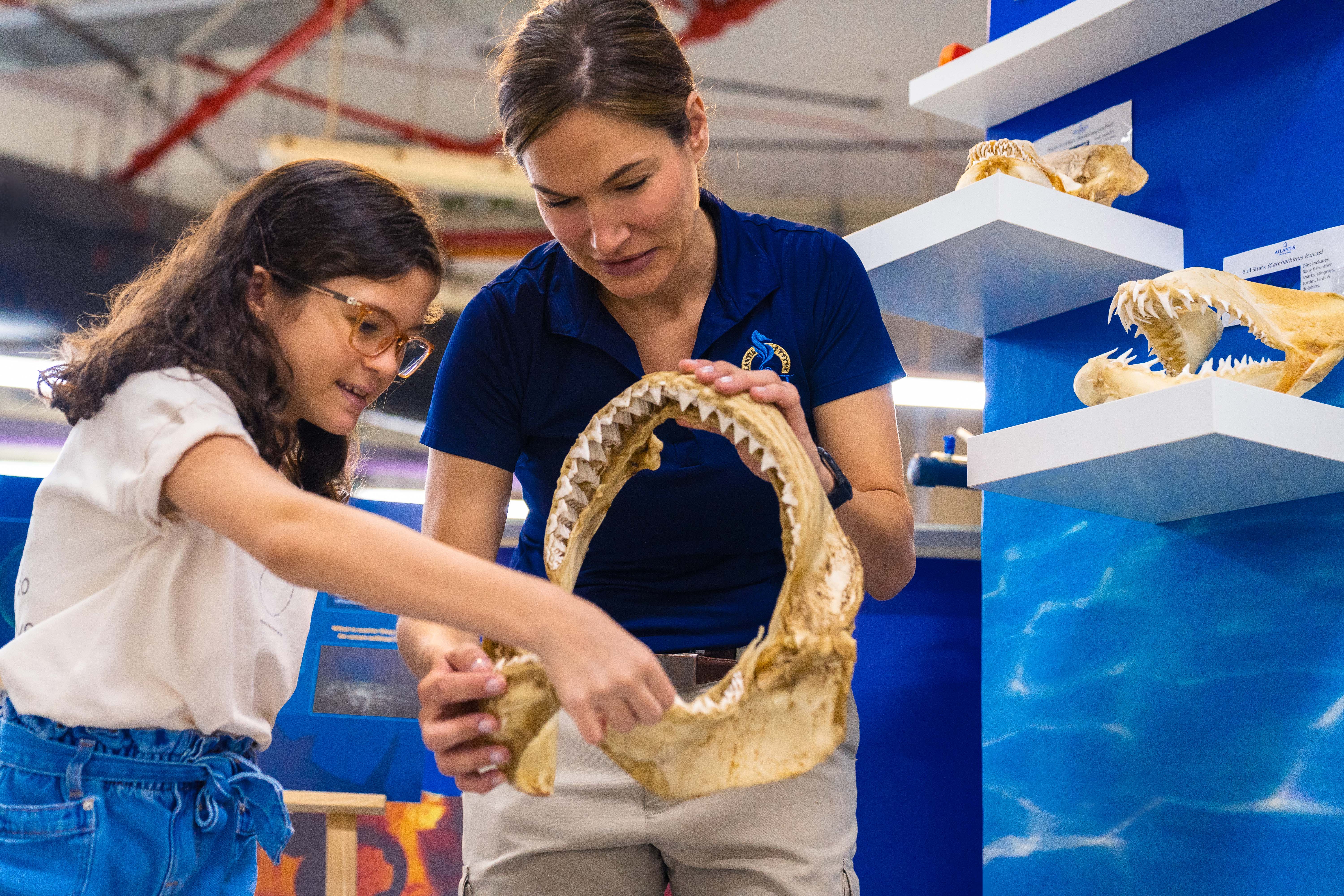 Fintastic Fun Awaits During Aquaventure World’s Summer Of Sharks Celebrating The UAE’s Native ...