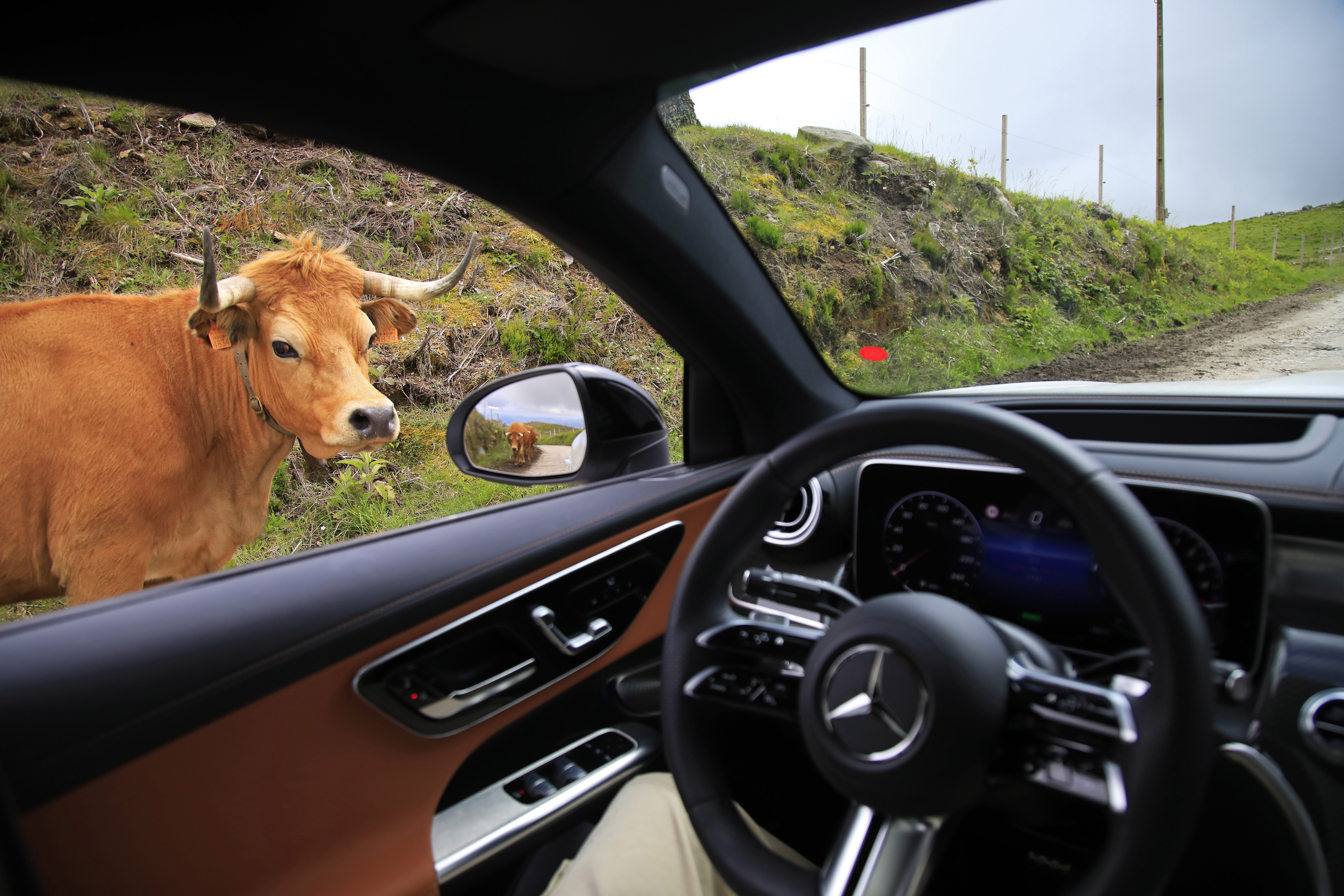 Aventura She’s Mercedes embeleza o Douro