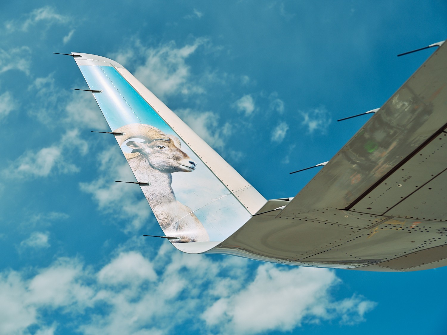 Low Fare Flights From Louis Armstrong New Orleans International Airport ...
