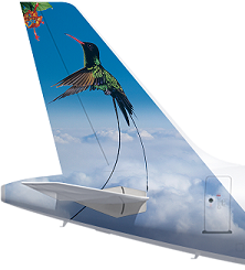 Frontier Airlines Announces New Aircraft Tail Featuring the Doctor Bird ...