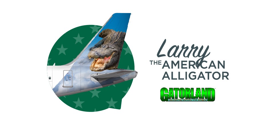 Larry the American Alligator