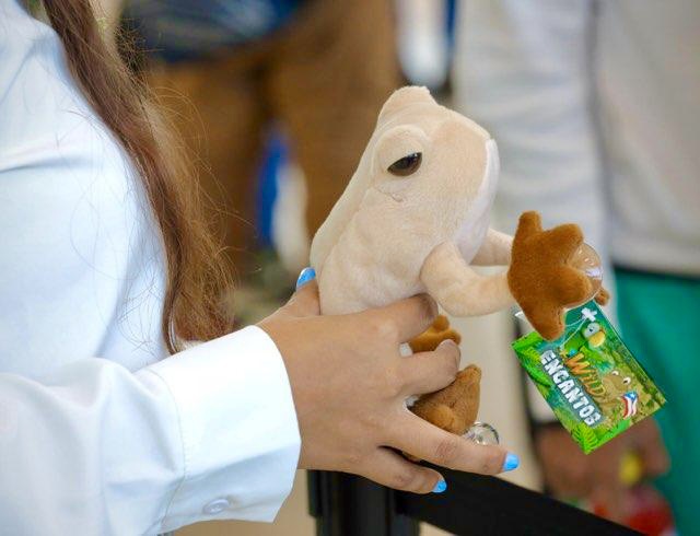 Frontier Airlines Introduces Bori the Coquí Llanero Plane Tail to Honor ...