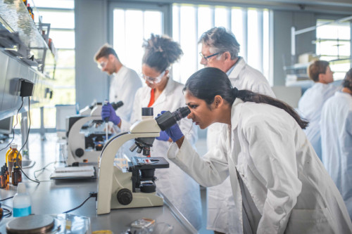 December Research Highlights