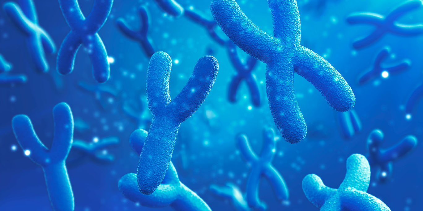 Loss of Y Chromosome Leads to Poor Cancer Outcomes