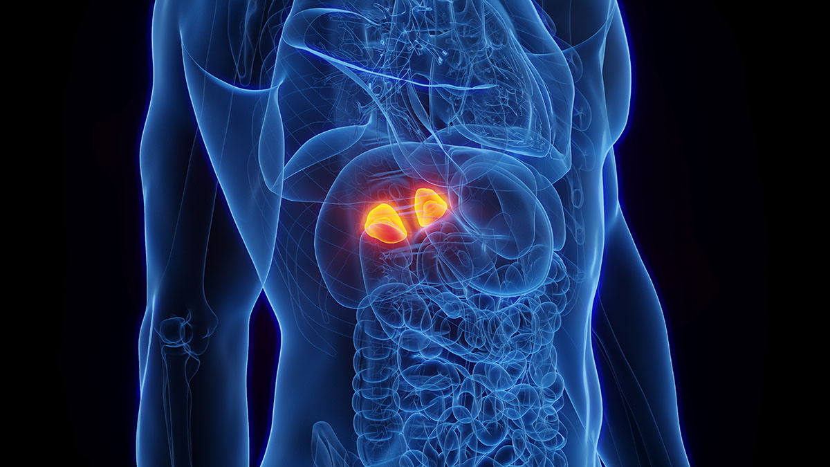 Experts: All Adrenal Tumors Should Be Evaluated
