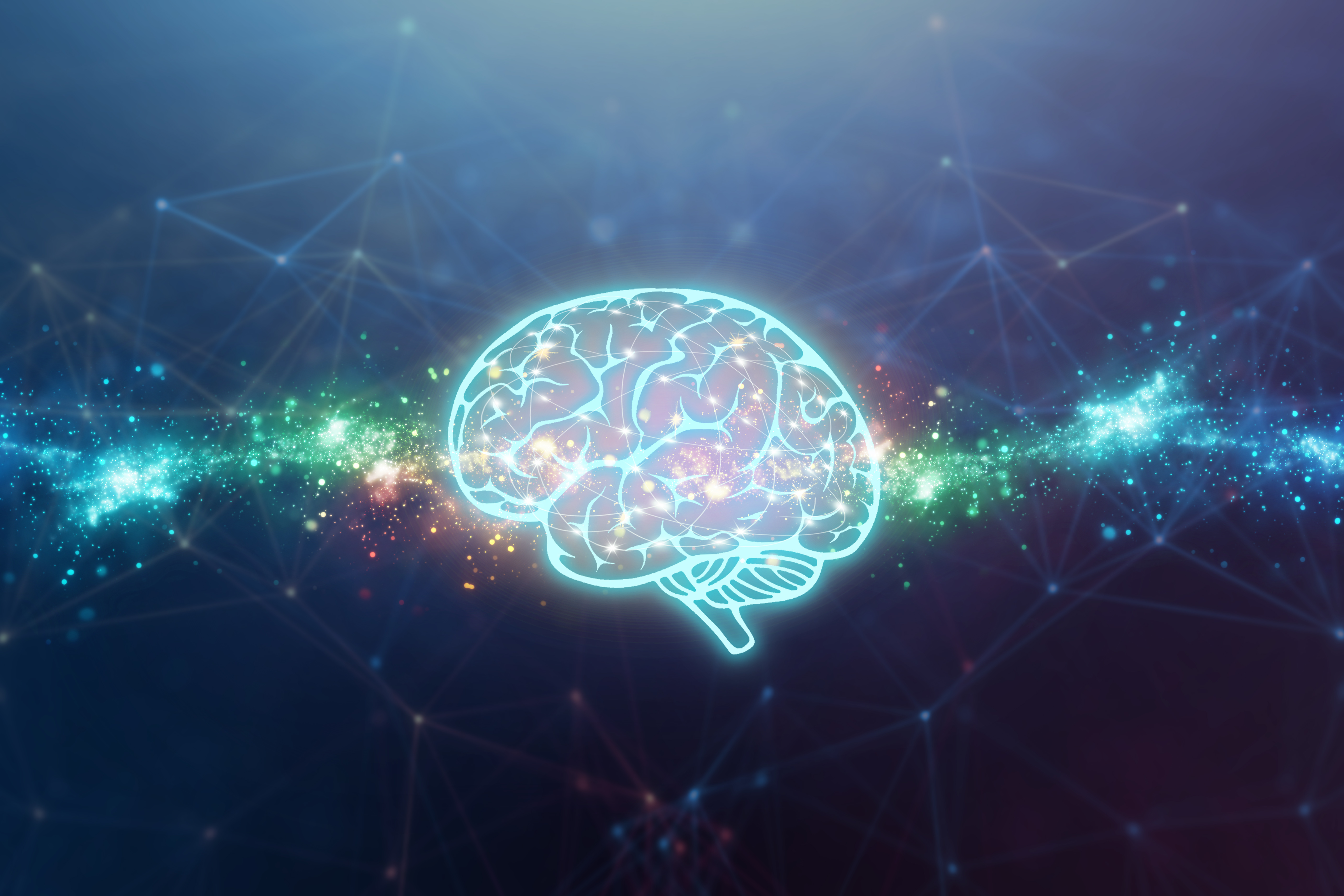A New Brain ‘Traffic Map’