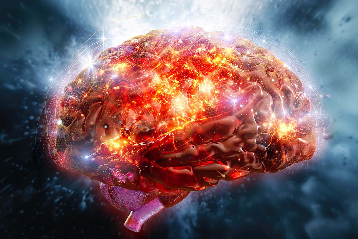 ‘Young’ Immune Cells Could Treat Alzheimer’s, Aging Symptoms