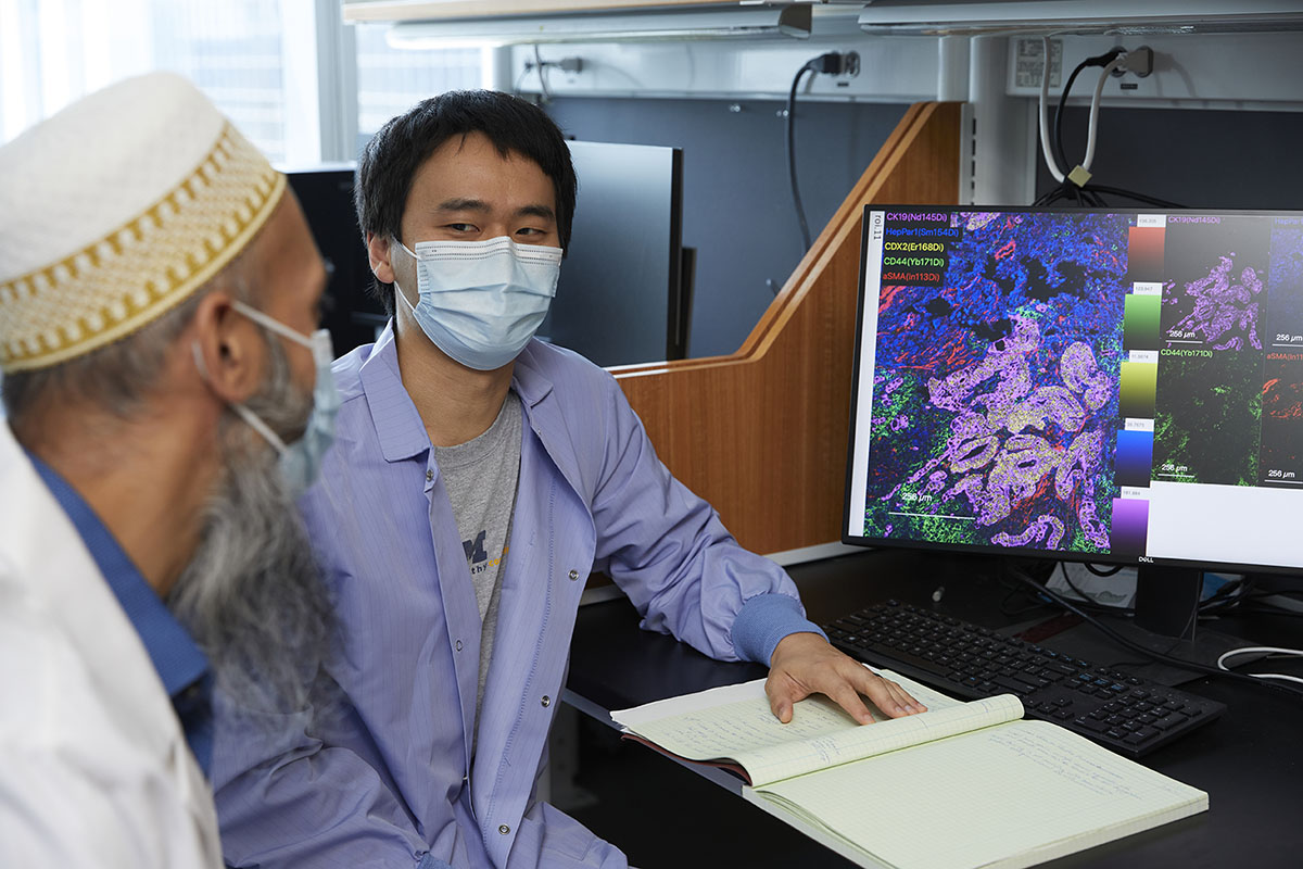 Predicting Ovarian Cancer Relapse