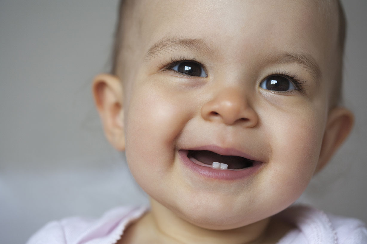 Scientists Identify Key Step in How Teeth Develop in the Womb