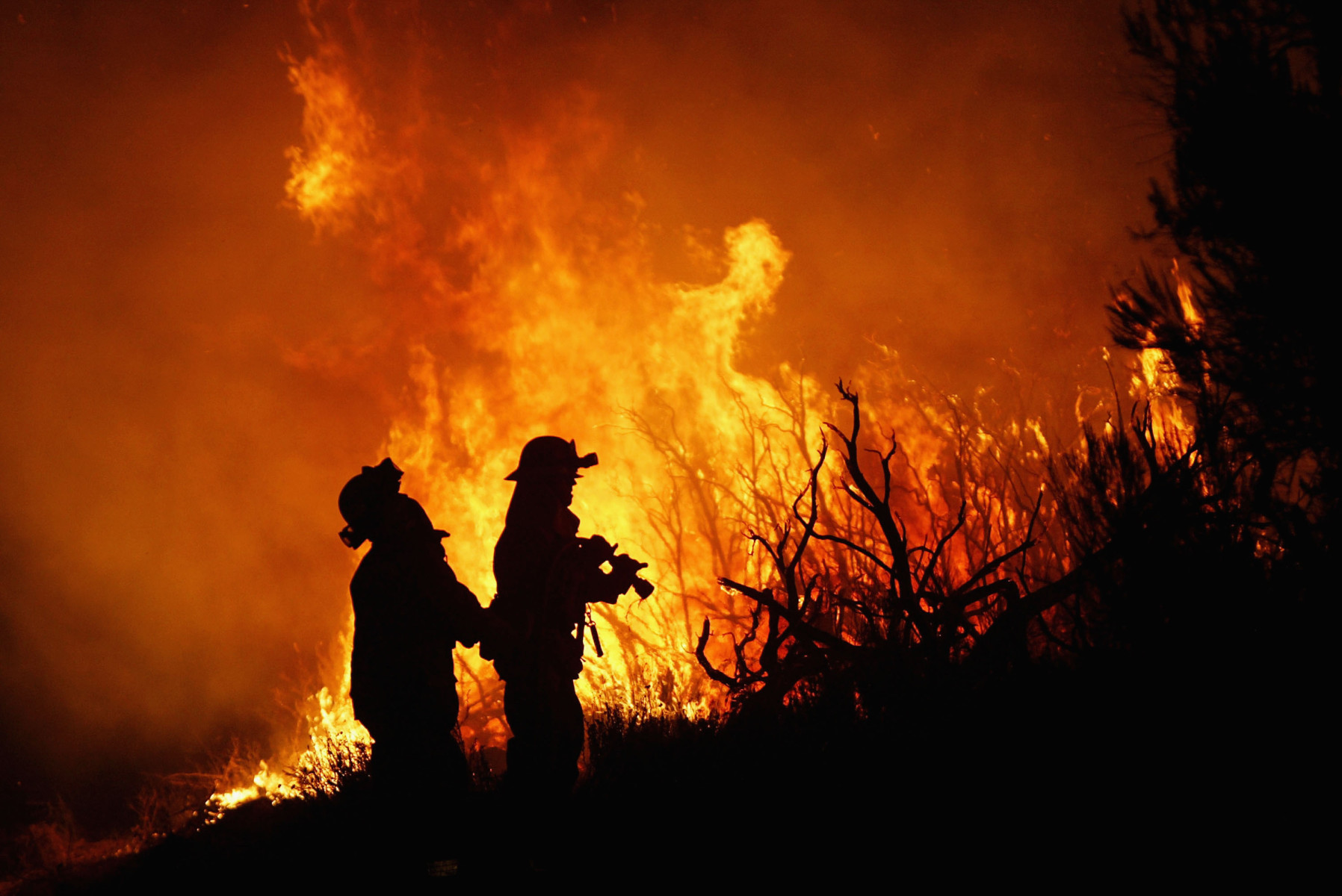L.A. Wildfires: Cedars-Sinai Response