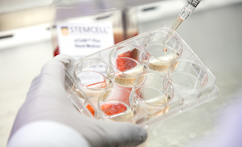 Stem Cells in Space | Cedars-Sinai