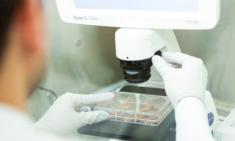 Noteworthy Medical Research Discoveries From 2022