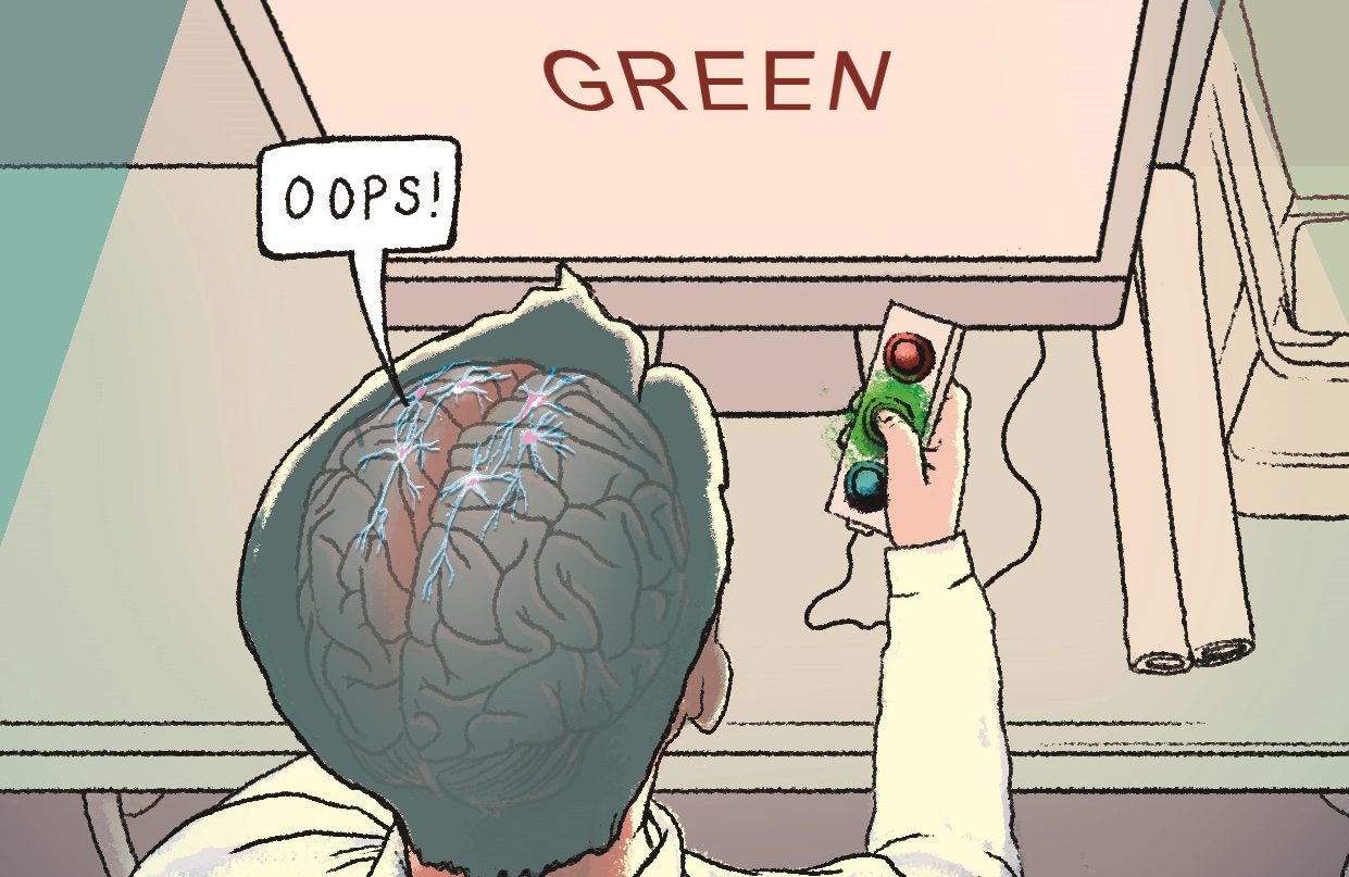 New Study Reveals How the Brain Says 'Oops!'