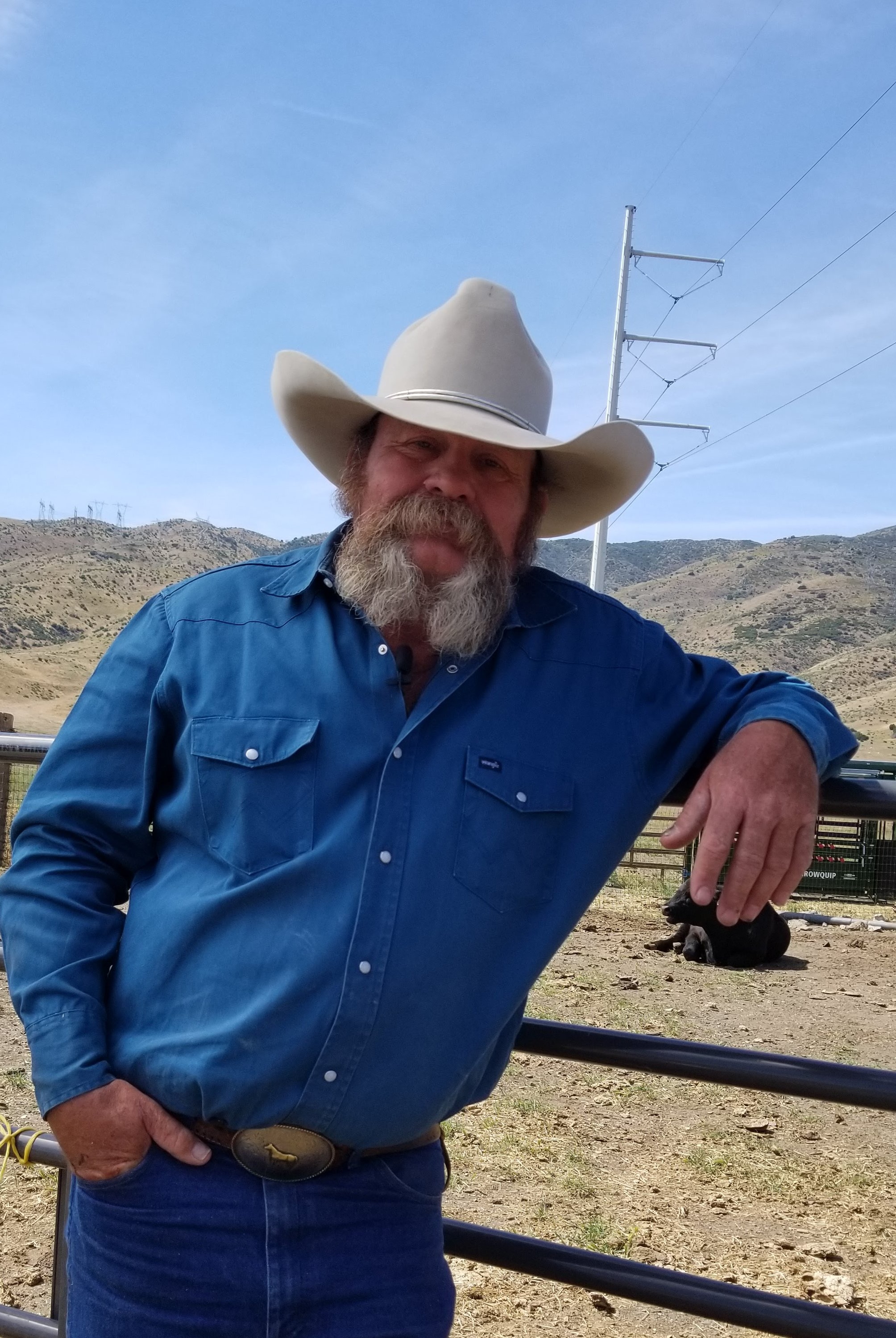 California Beef Council Names New 2024 Leadership, Establishes Budgets ...