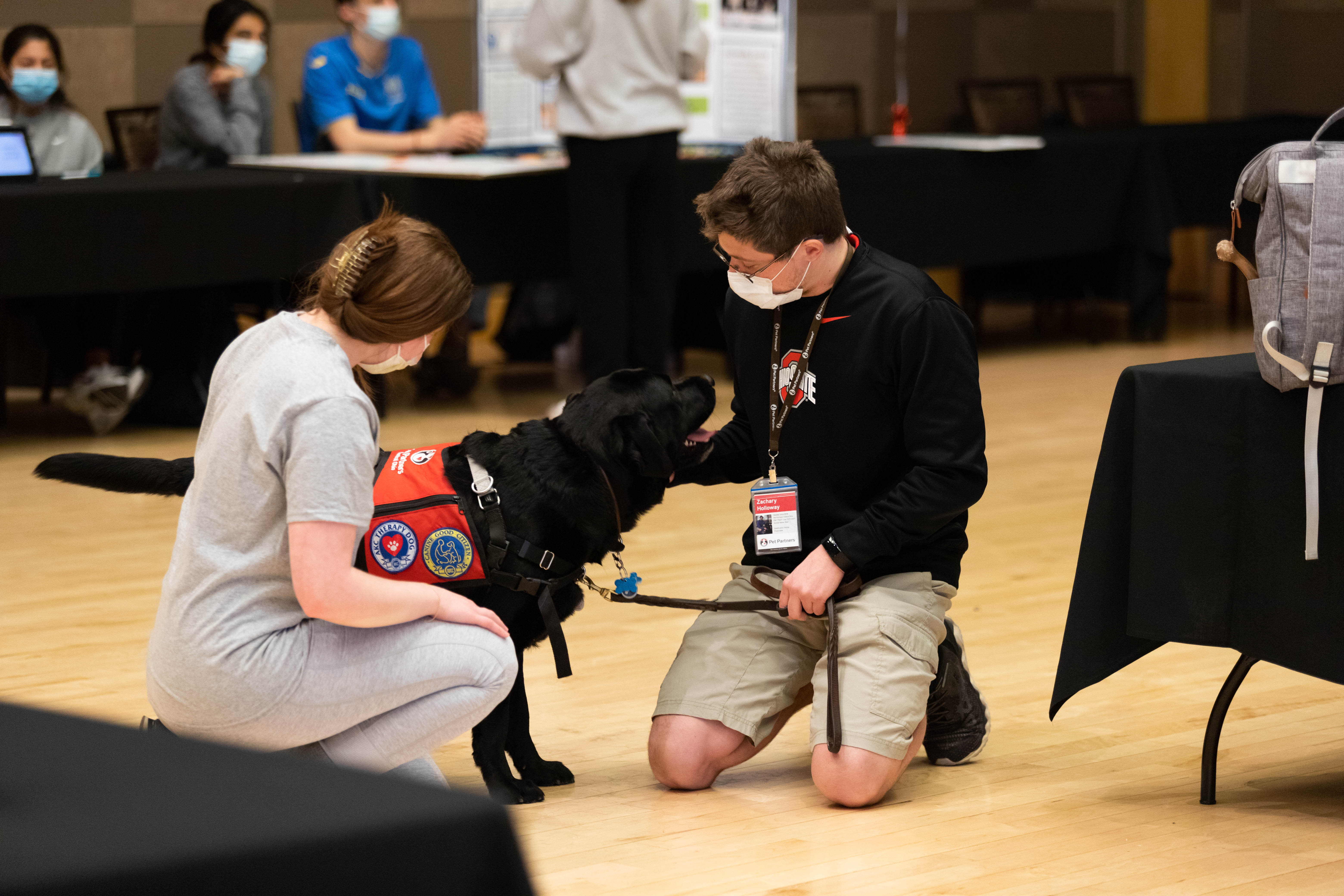 RUOK? Day moves to new date, time