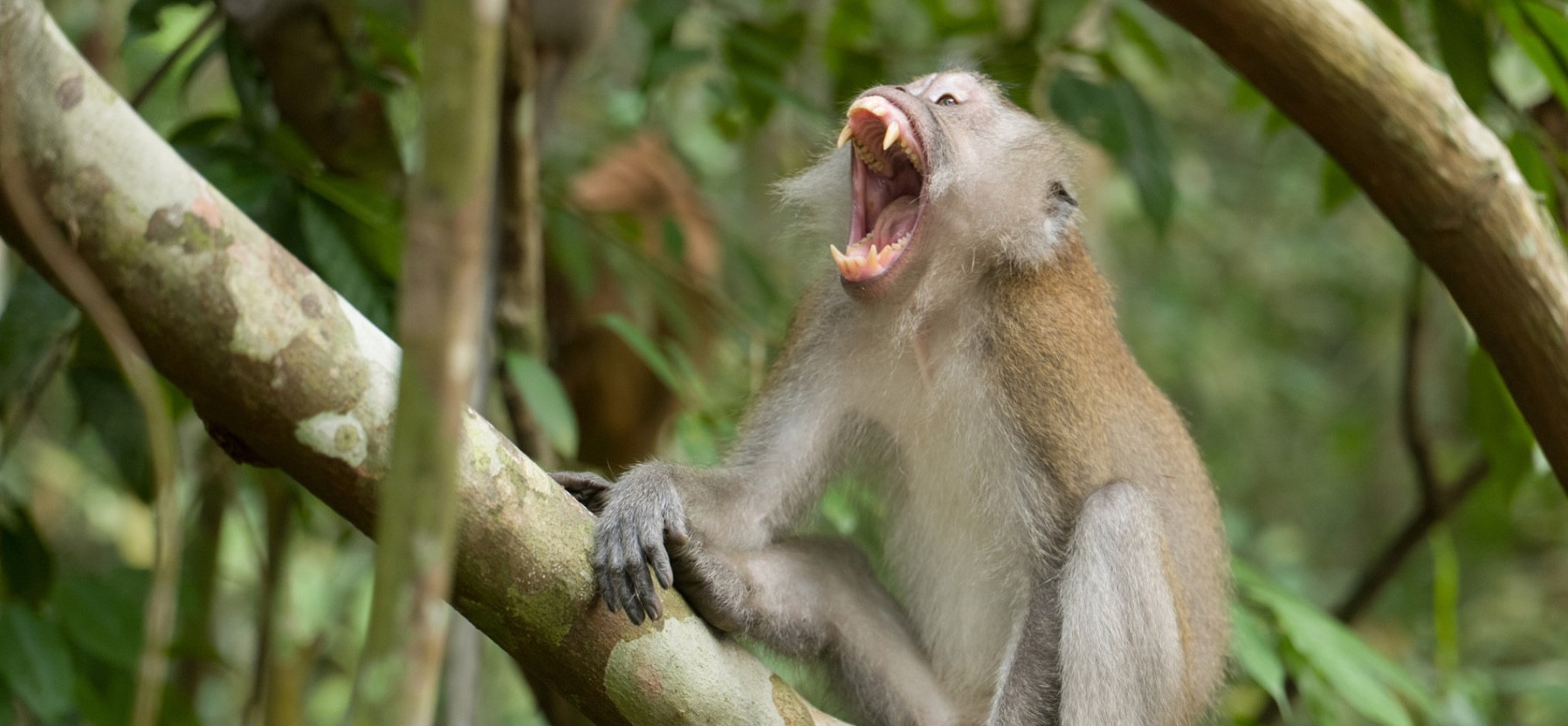 Alexandra daddario sex escene if you find yourself unlucky
