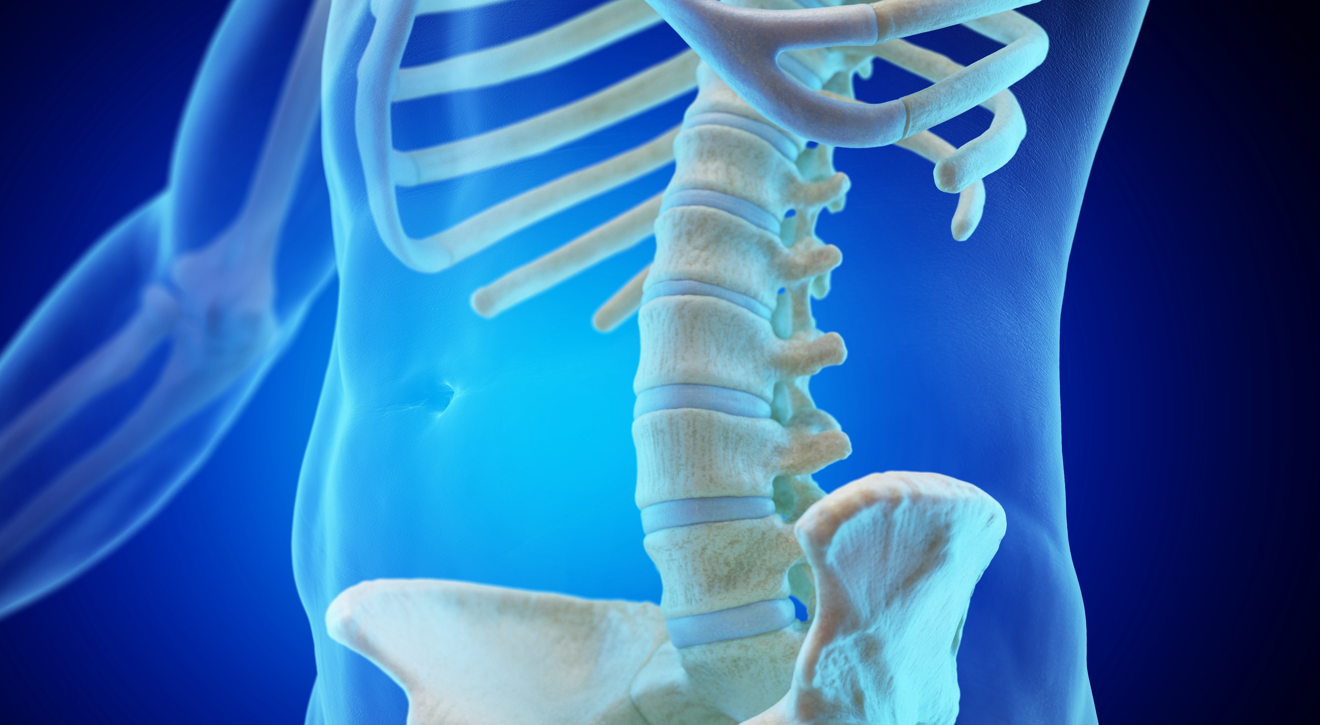 Gene therapy relieves back pain, repairs damaged disc in mice