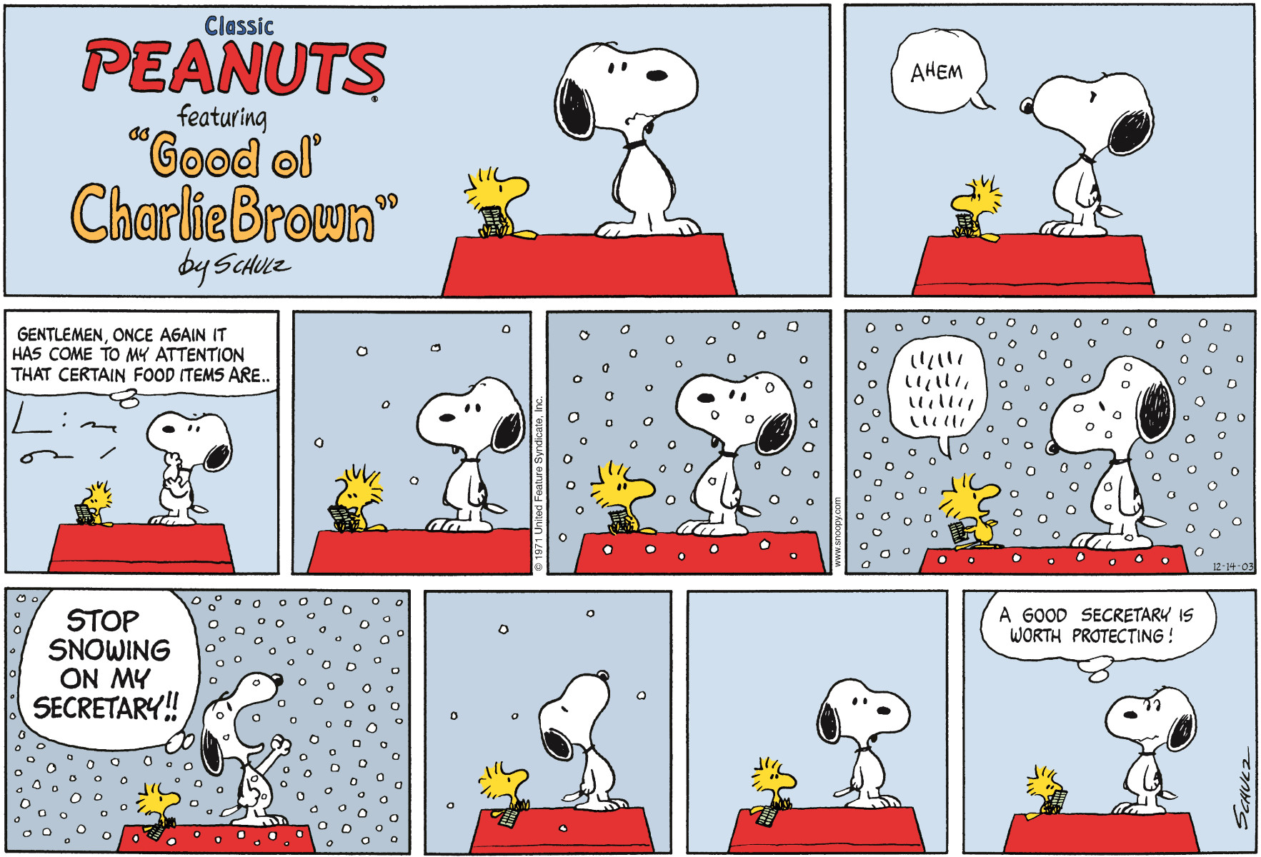 The Meaning Behind The Woodstock Character In Peanuts Style And Polity The Meaning Behind The Woodstock Character In Peanuts Style And Polity