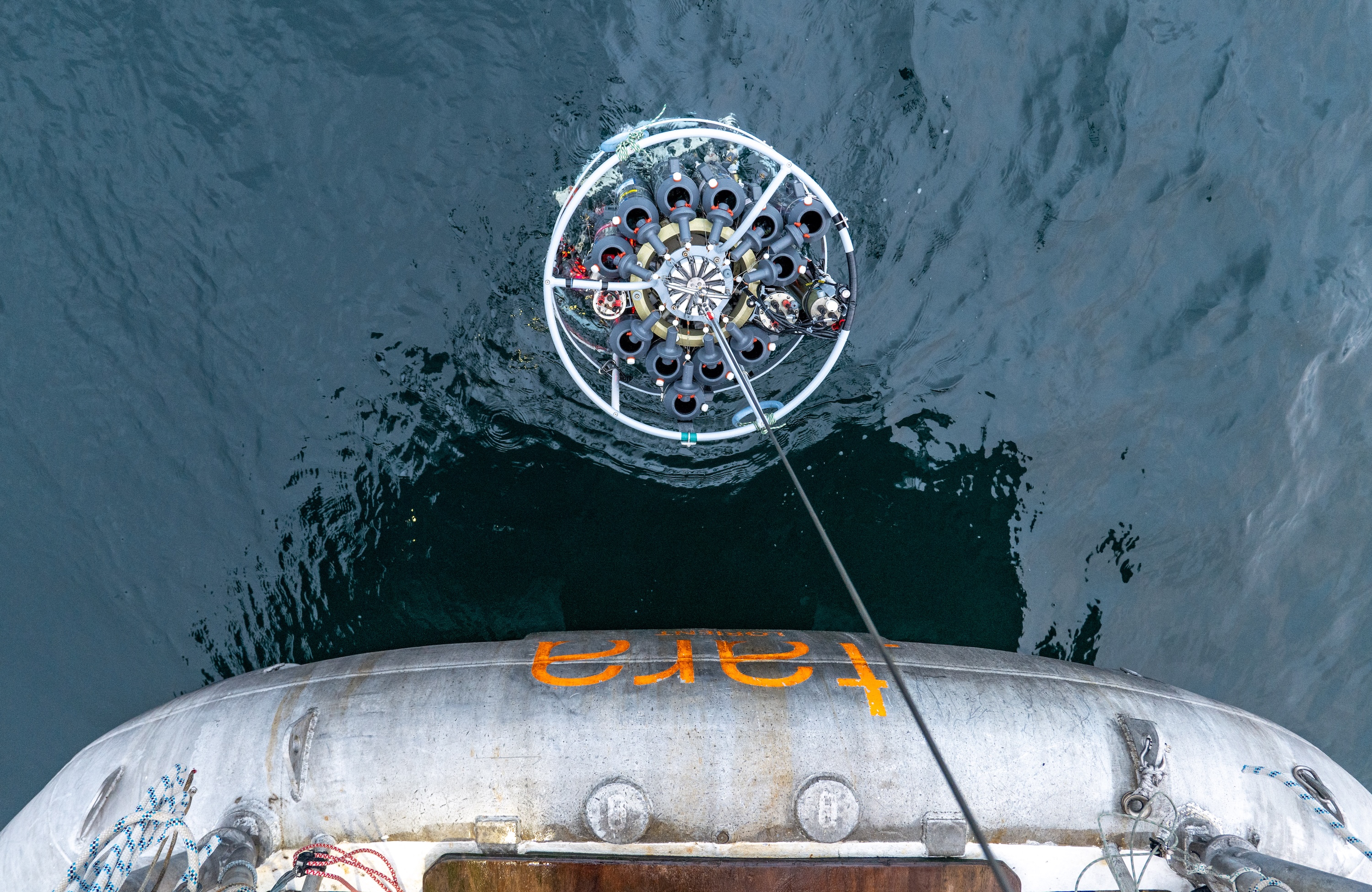 Bacteria resisting viral infection can still sink carbon to ocean floor