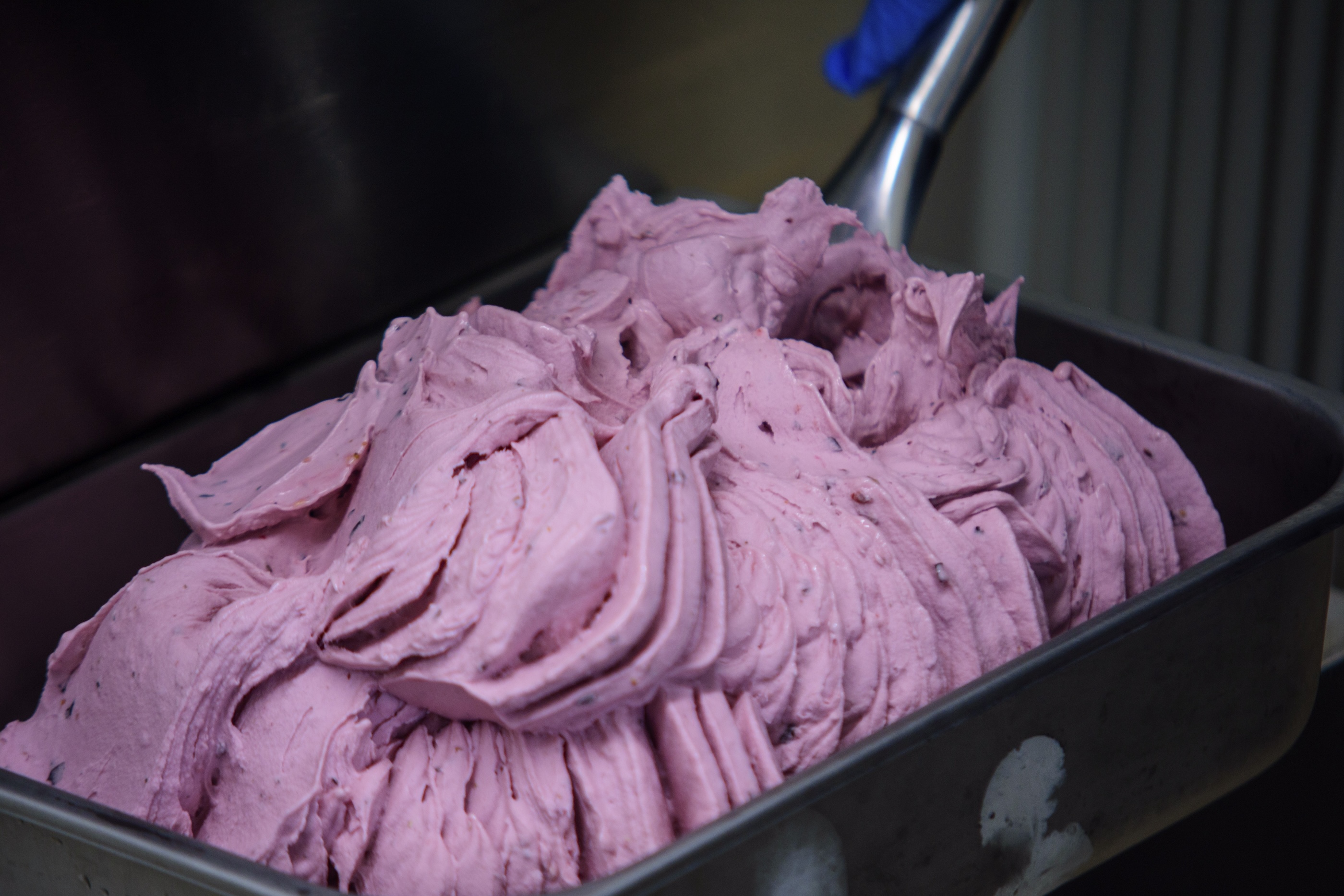 Giving food waste fermentation a ‘jolt’ increases chemical production