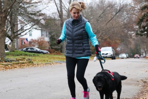 Ohio State experts: Partner with your pet to succeed with diet and ...