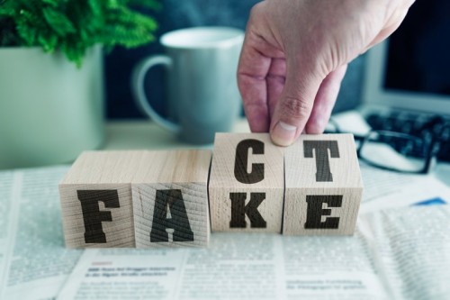 Fact-checking works across globe to correct misinformation | Mirage News