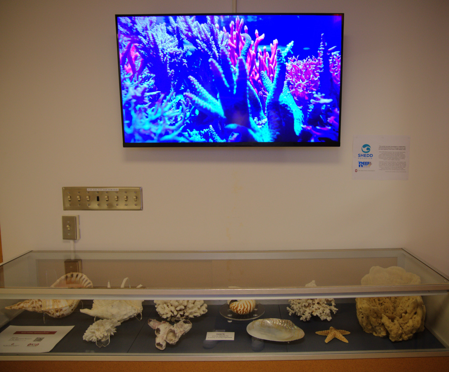 Coral reef exhibition opens at Ohio State