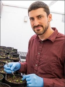 Fungal genetics could help develop novel biotechnologies