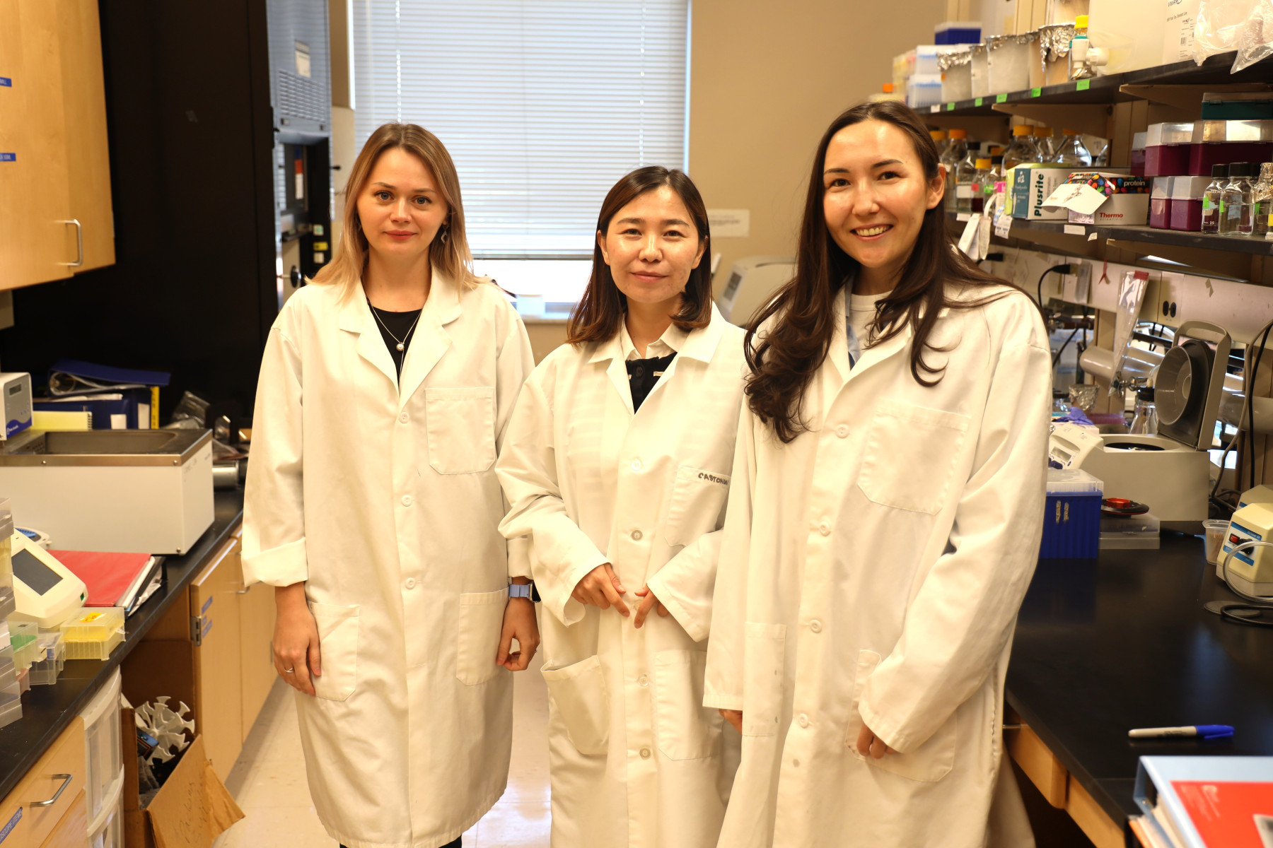International scientists contribute to Ohio State’s clean-energy research