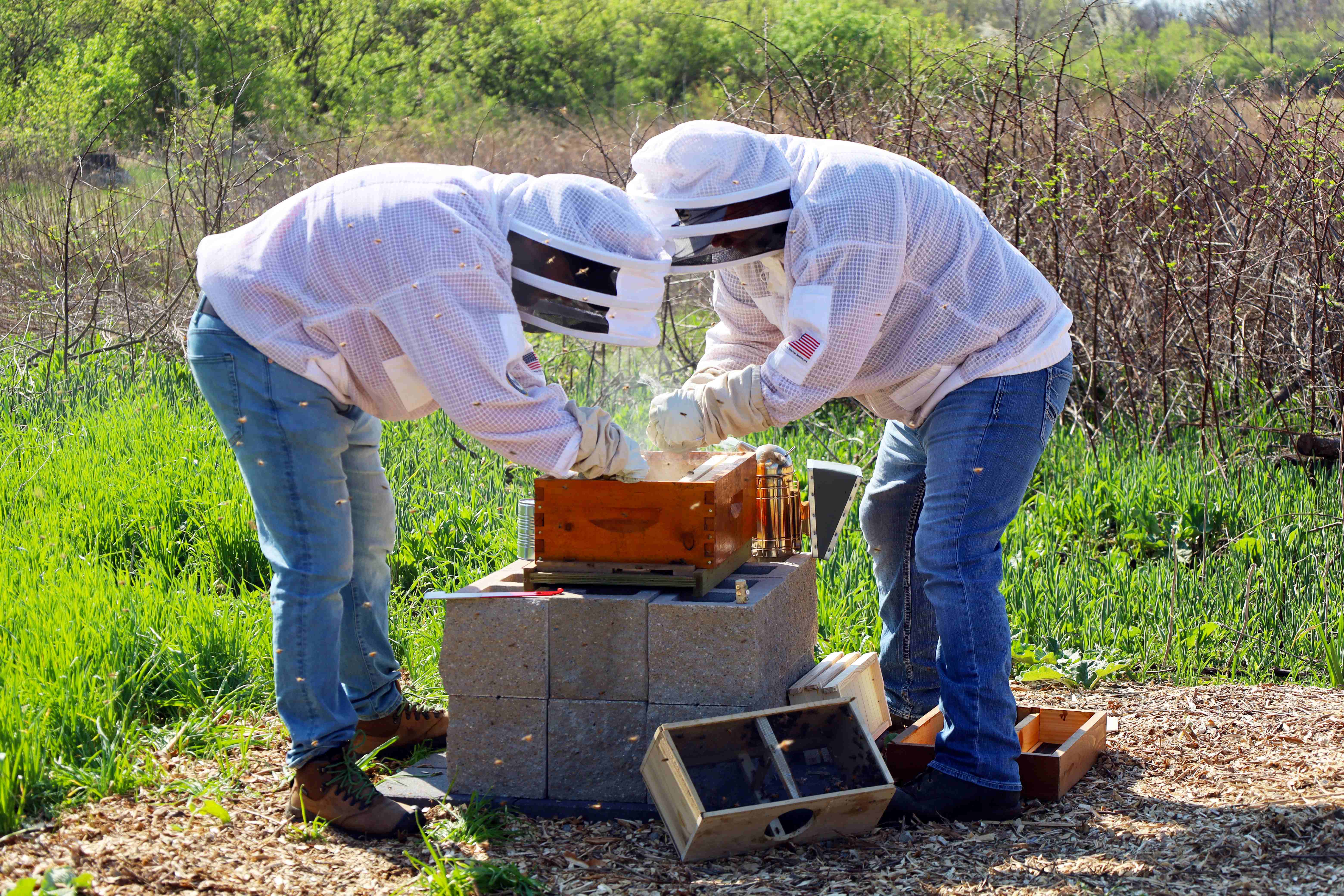 Student veterans bring beekeeping program to the campus prairie