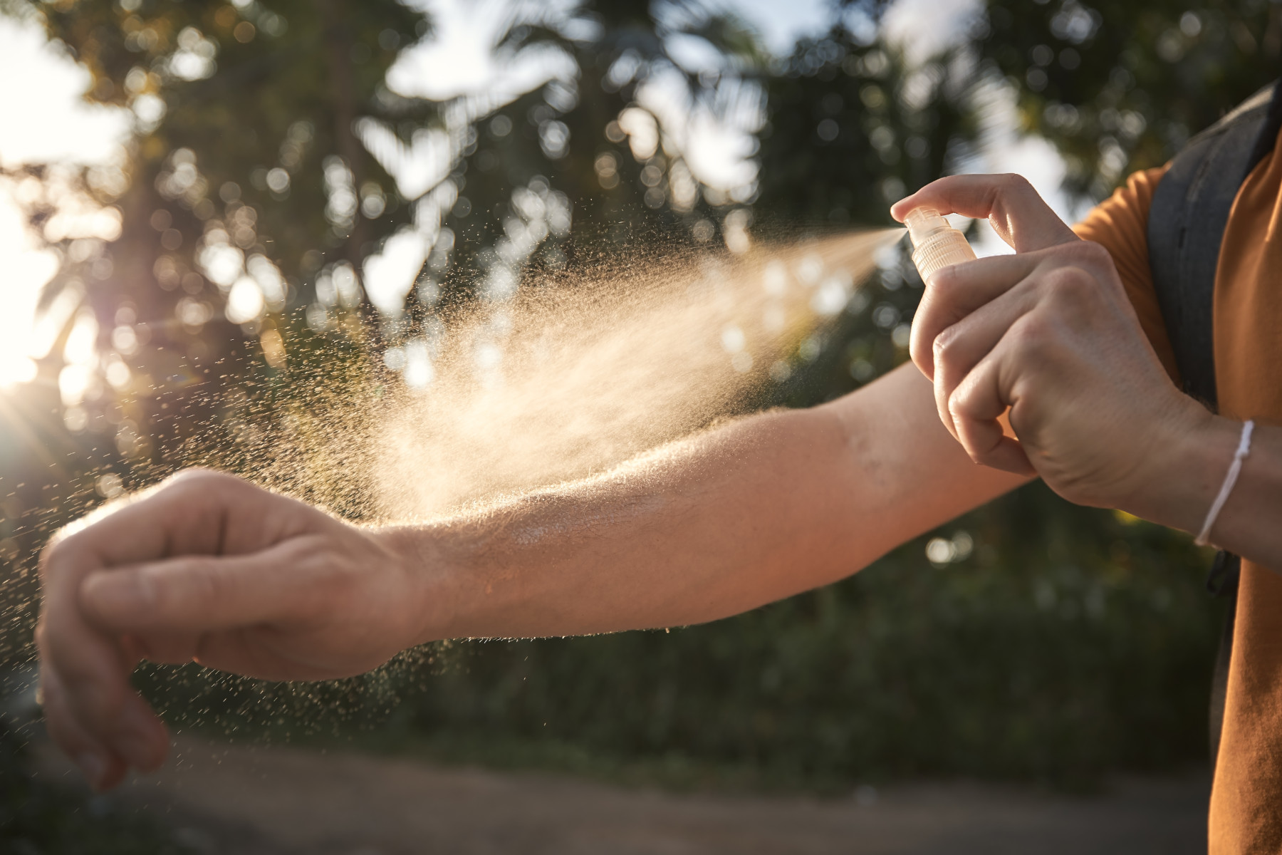Mosquito pain receptors are less sensitive during extreme heat