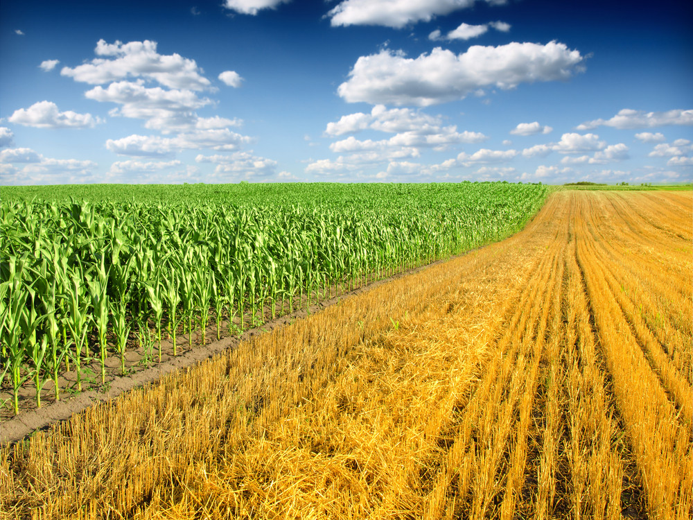 Ohio State helps farmers manage impacts as drought conditions spread ...