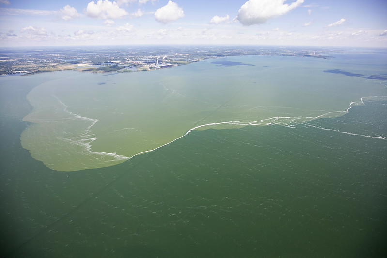 Moderate to above-moderate harmful algal bloom predicted for western ...