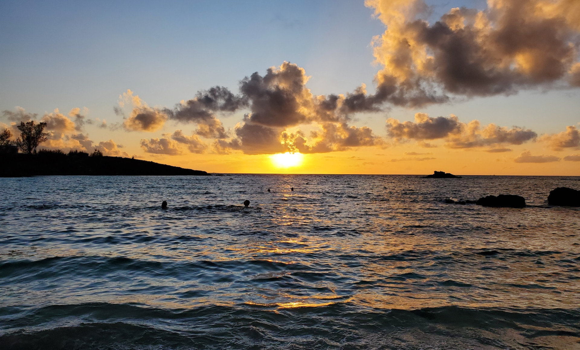 Getting a glimpse of viral dances in the dark in the Sargasso Sea