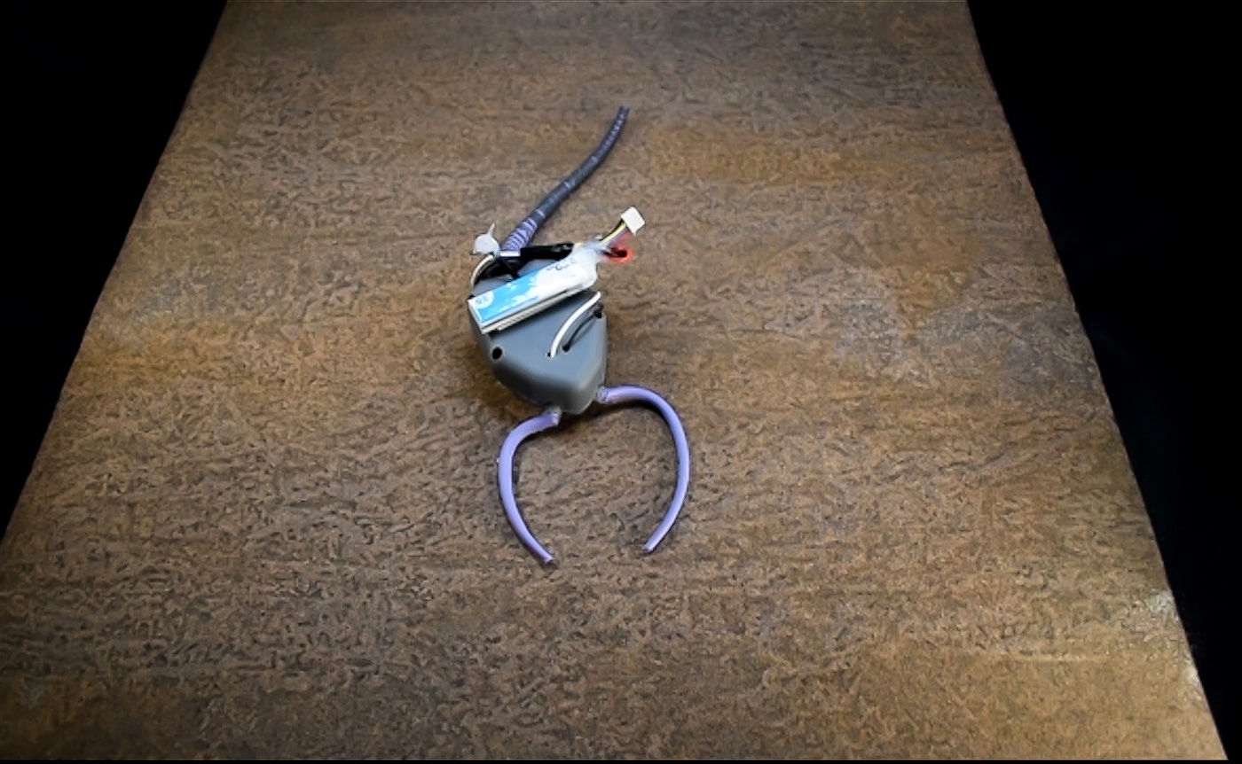 Advances in soft robotics usher in a new era of scientific analysis