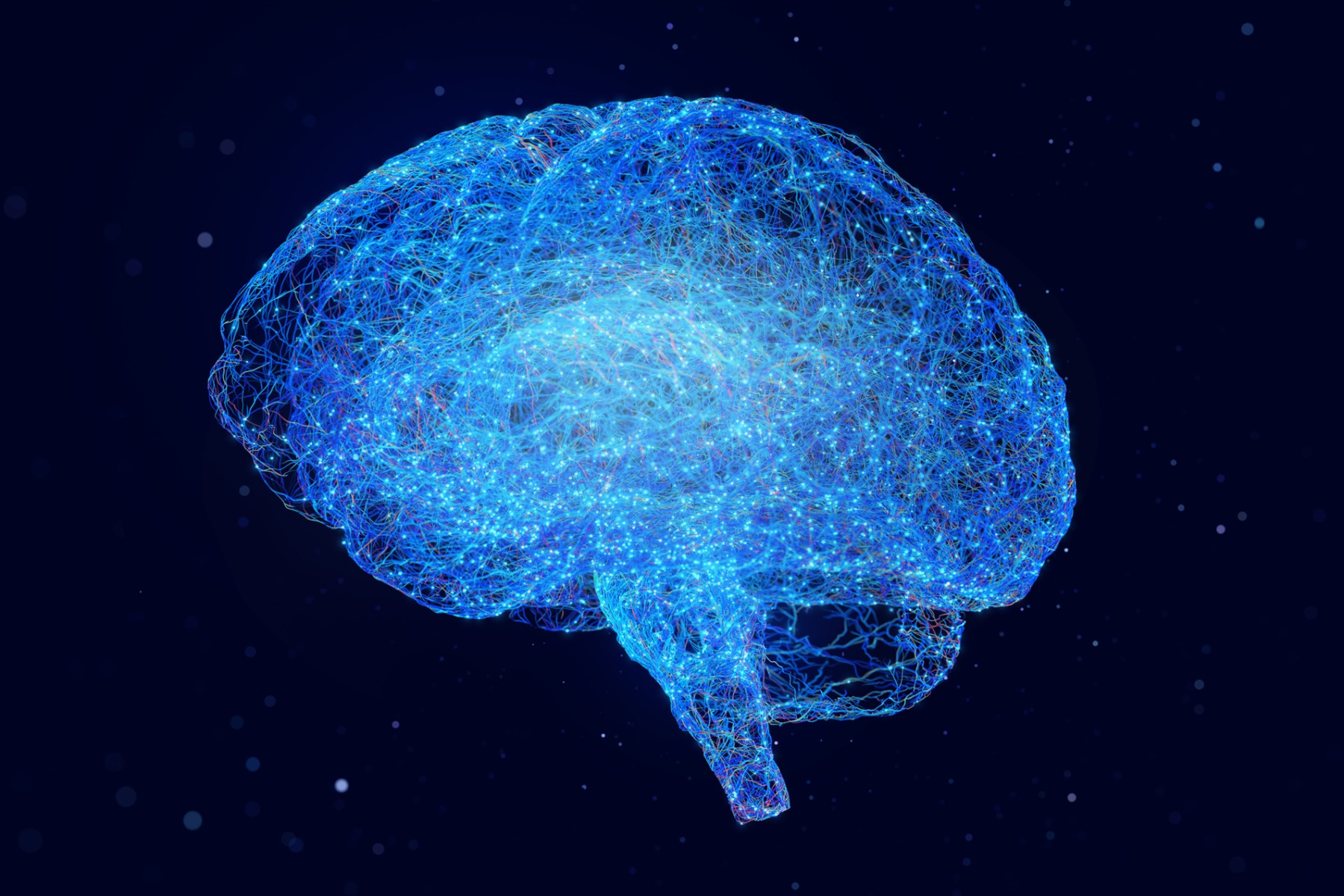 A ‘bird’s eye view’ of how human brains operate