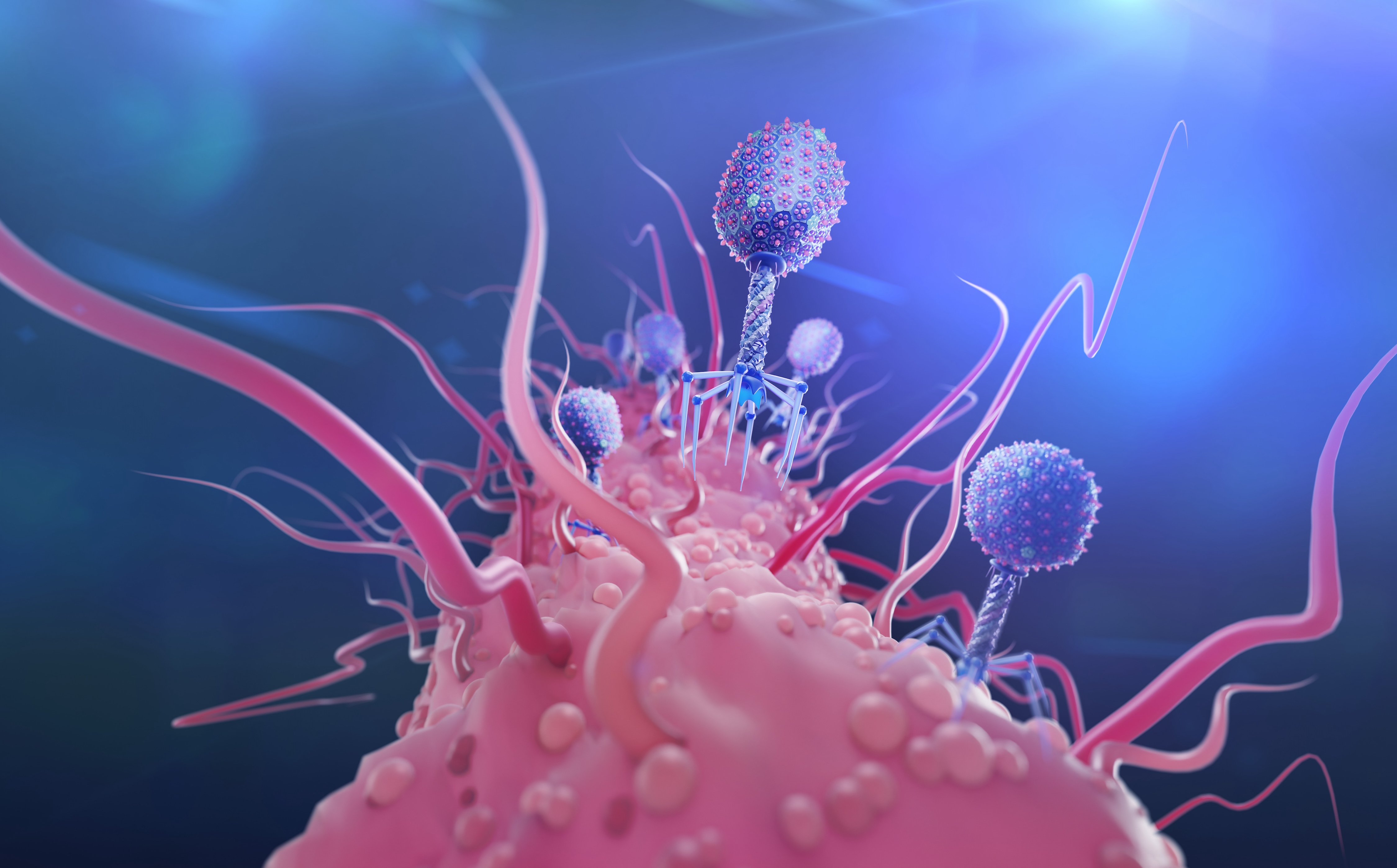 Study details a common bacterial defense against viral infection