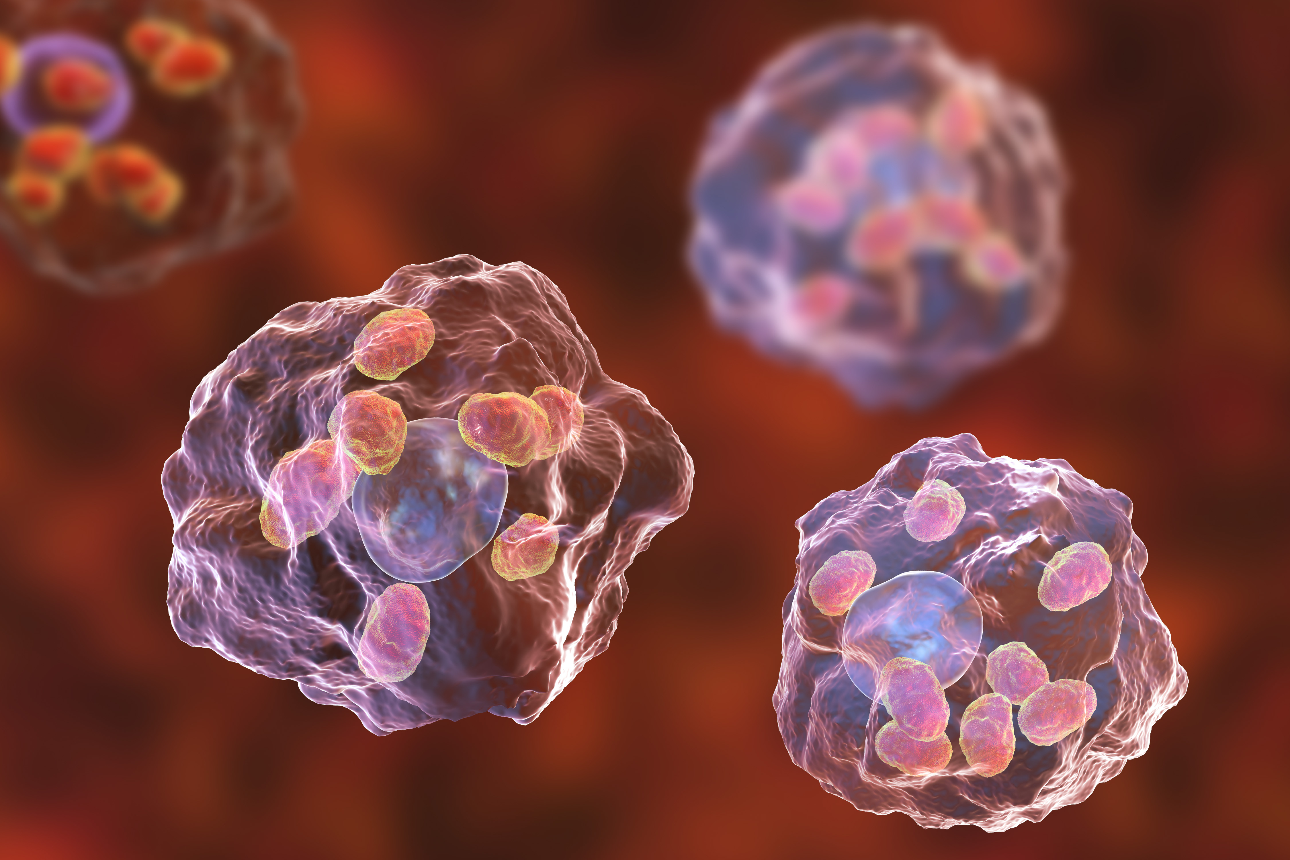 Vaccine protects against ‘tough cookie’ parasite found in the Americas