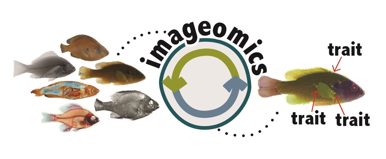 New $15 million NSF grant launches Ohio State Imageomics Institute